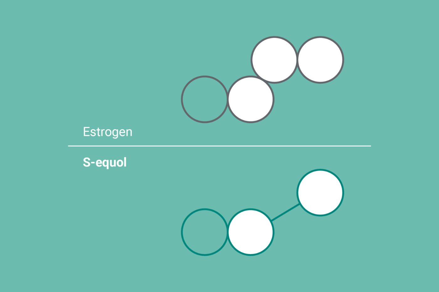 Early Menopause Symptoms & Basic Facts - What Are The Stages Of ...