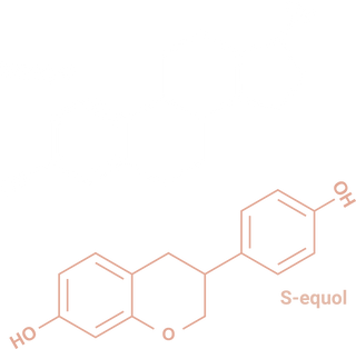 Equelle® for Healthcare Professionals - Hot Flashes Supplement - Where ...